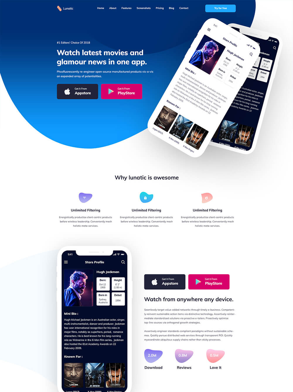 Lunatic WordPress Theme | Demp Panel
